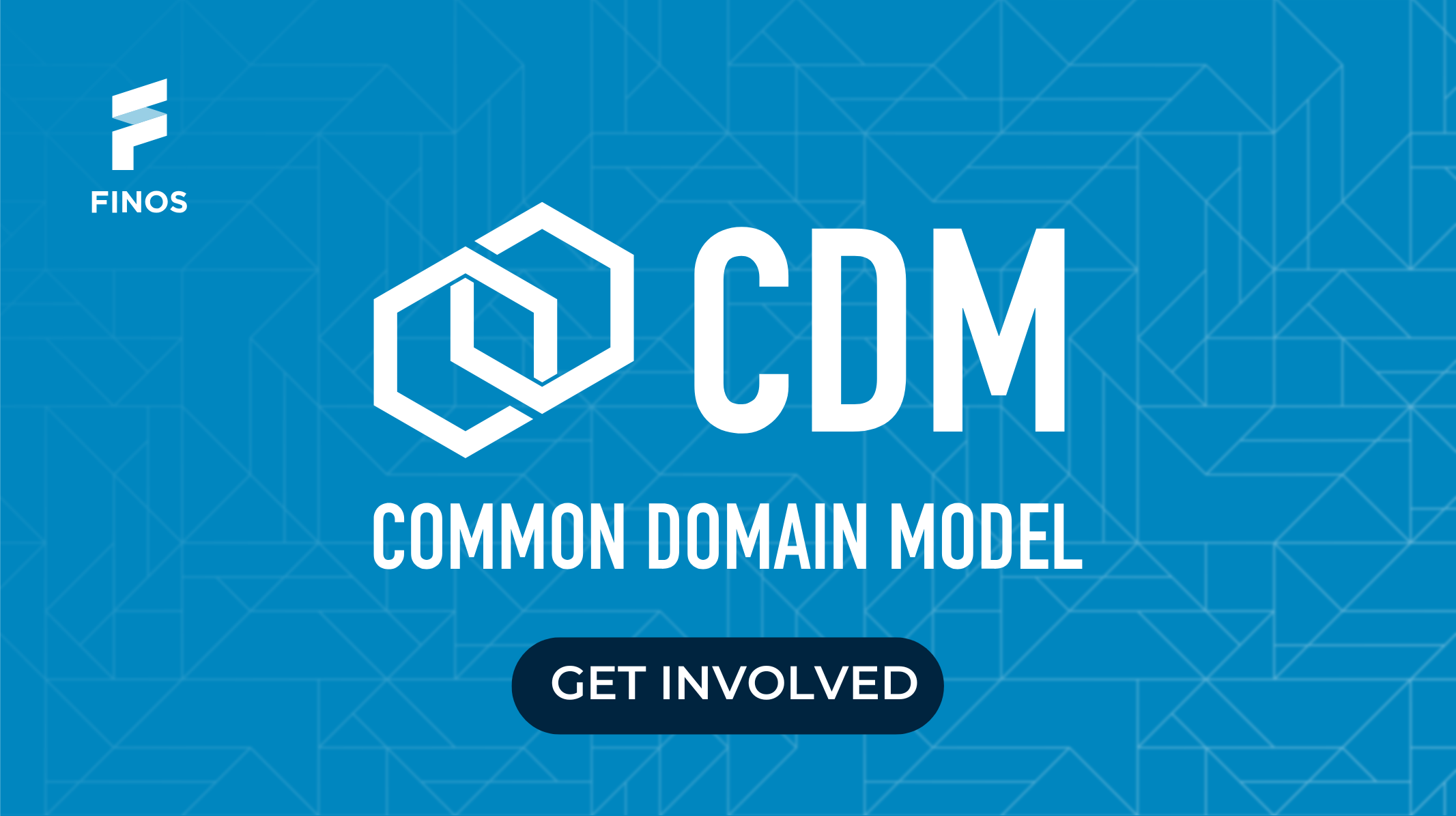 Common Domain Model (CDM) Resources